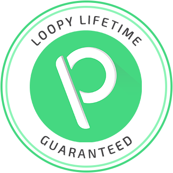 Loopy Charging Cables - Type C (1.1m) – LoopyCases®