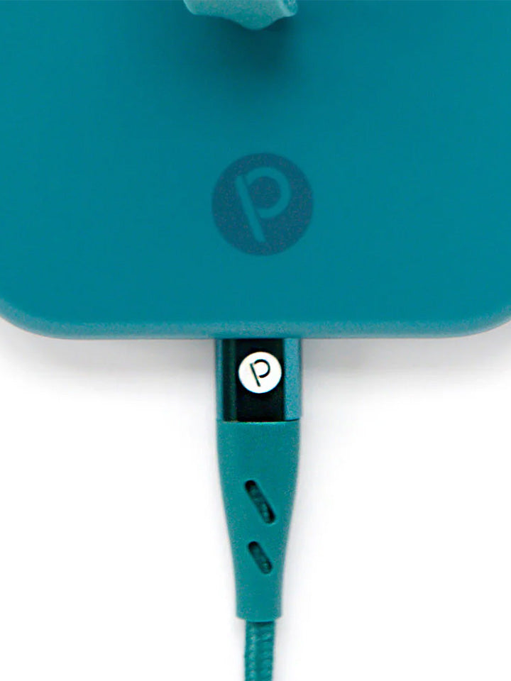 Loopy Charging Cables - Type C (1.1m) – LoopyCases®