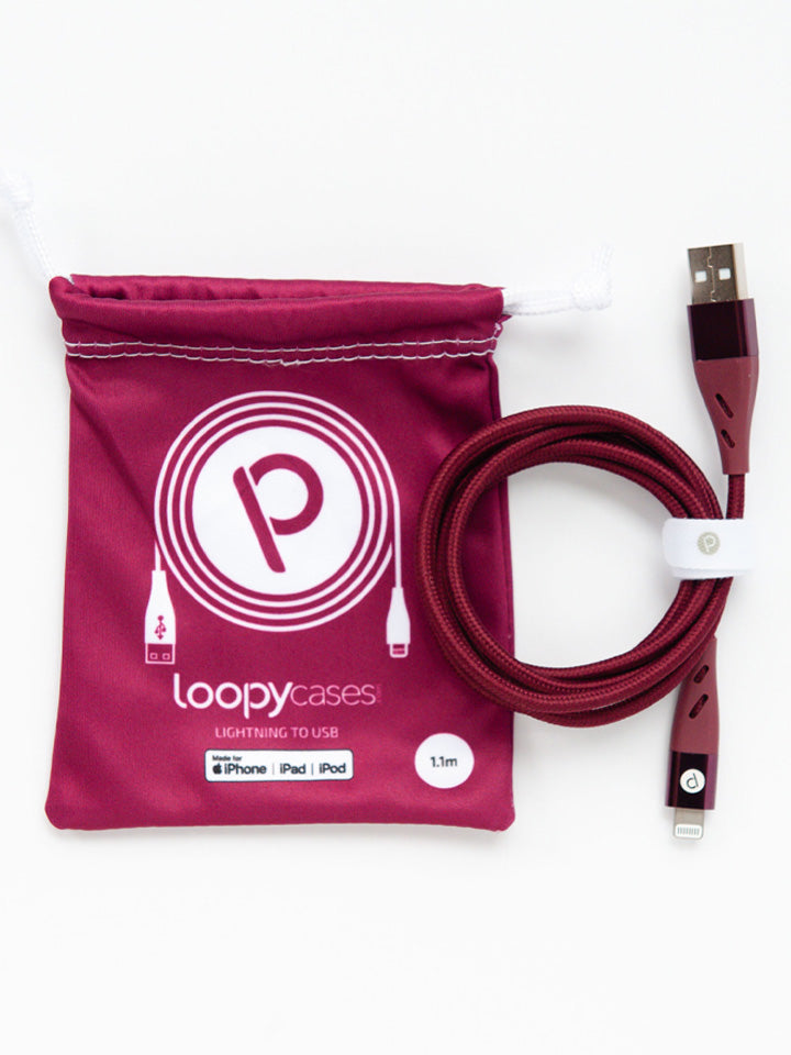 Loopy Charging Cables - Type C (1.1m) – Loopy®Cases